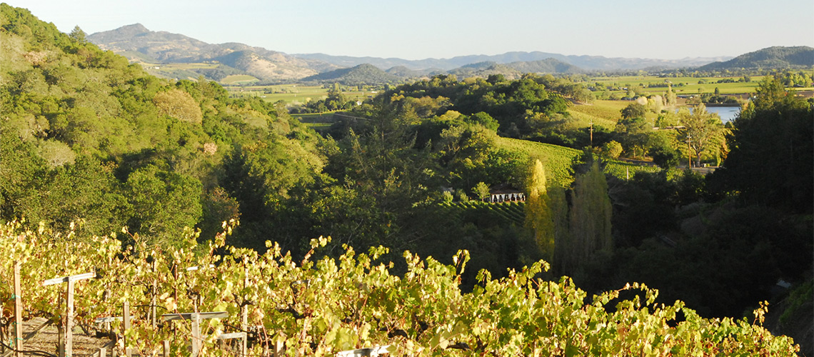 The Terraces – Estate Winery and Vineyard in Napa Valley